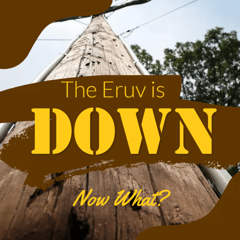 The Eruv is Down! Now What? – DOJLife.com