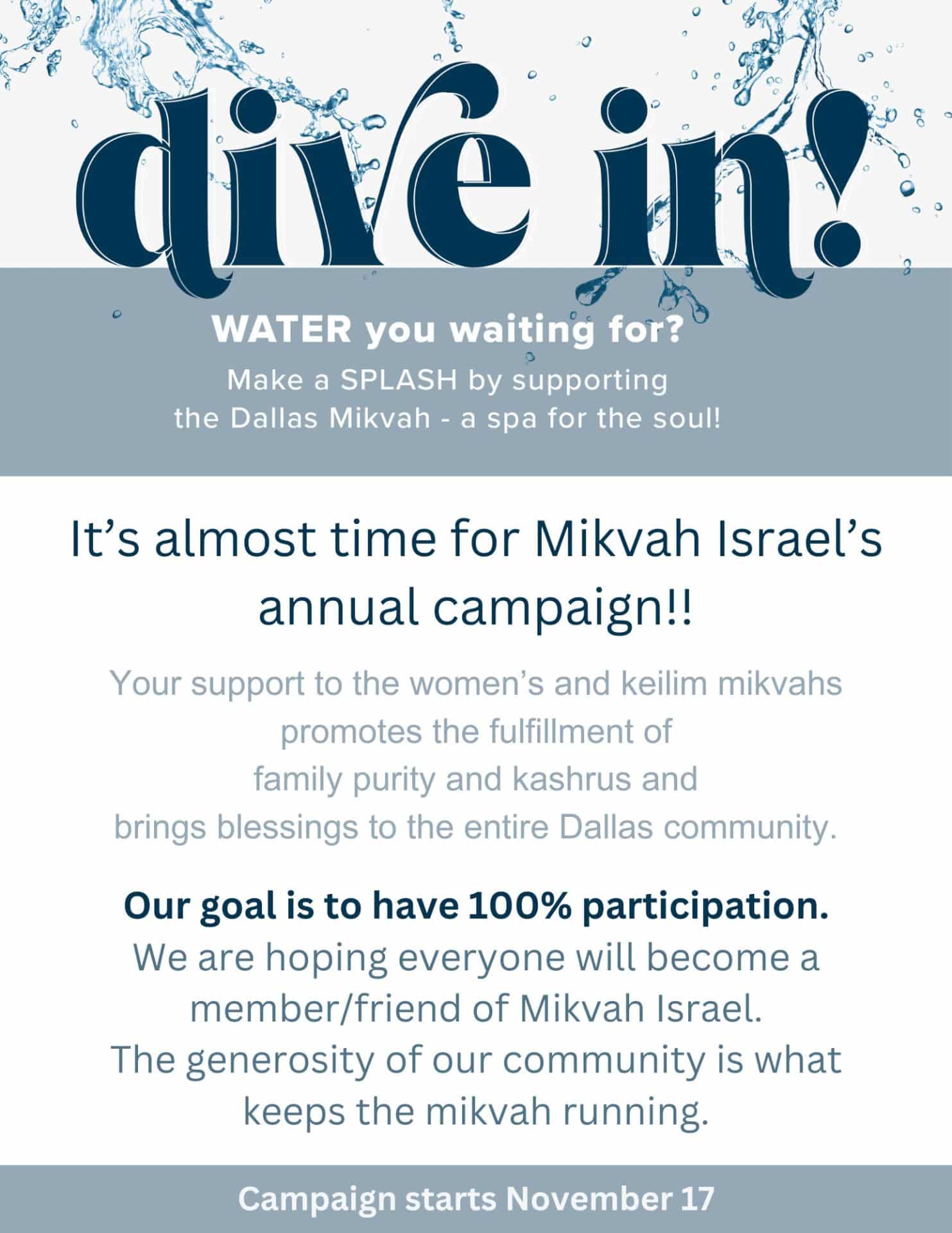Dive In: Water You Waiting For? — Mikvah Israel’s Annual Campaign ...