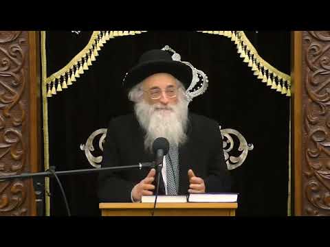 WATCH: Rav Moshe Meiselman, Shlit"a Explain The Chaim Walder Case ...